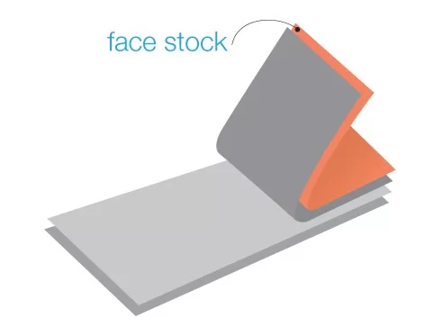 Understanding labels - QLM Group